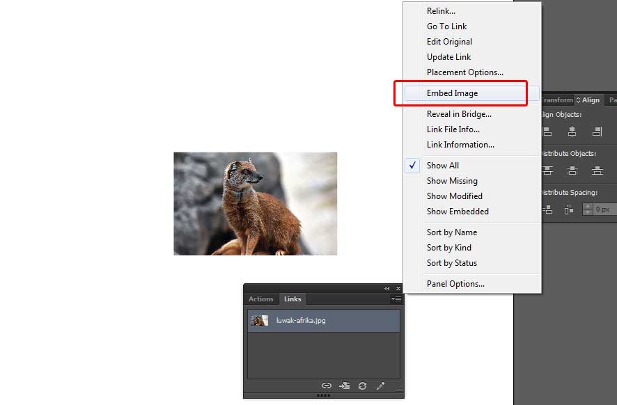 Cara Embed / Menggabungkan Gambar di AI Seperti Corel - Masvian