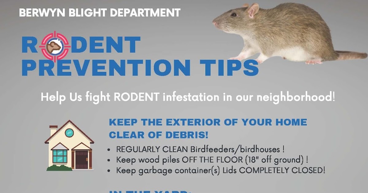 News Releases: Rodent Prevention Tips