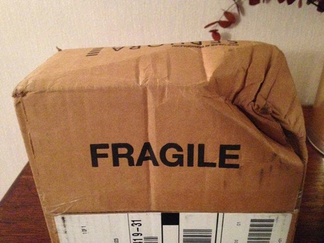 dsgggggdgdgrth: 19 Funniest Package Delivery Fails.