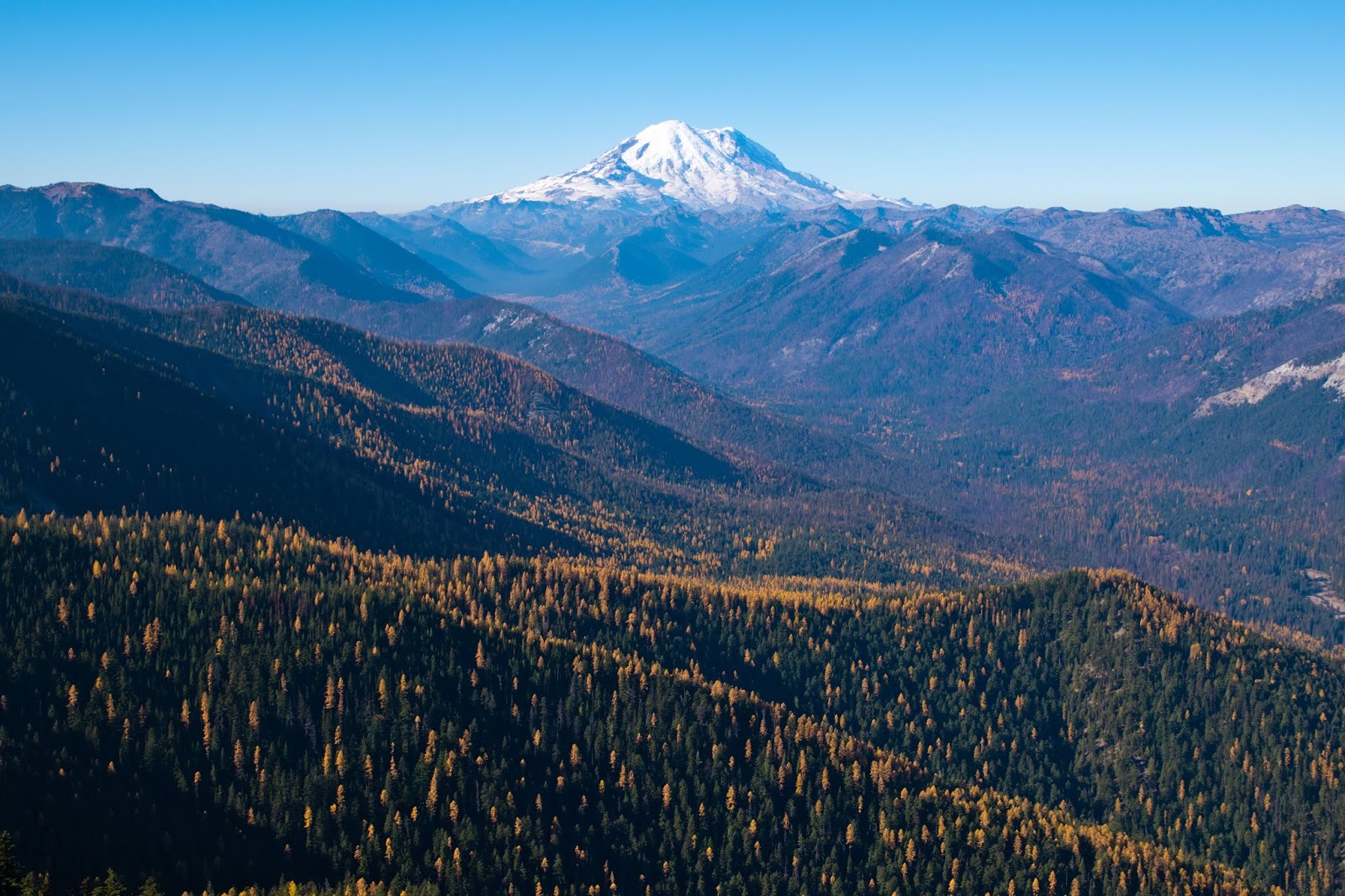 Hiking Shenandoah: Goat Peak (Chinook Pass)