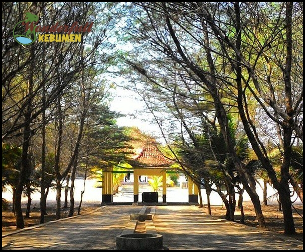 HUTAN CEMARA WANAGAMA III, KARANGGADUNG, PETANAHAN, KEBUMEN ...