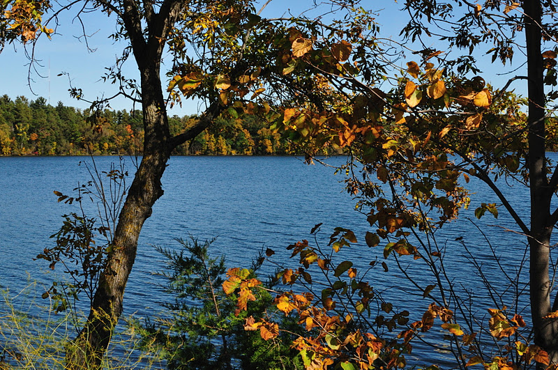 Finding Jerry and Mary: Lyttle Creeks, California