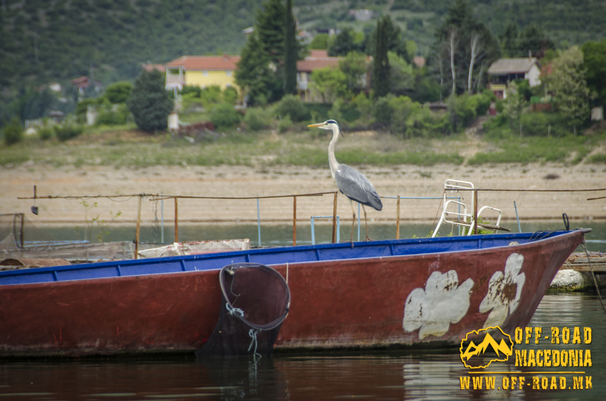 Tikvesh Lake and Polog Monastery - Photo Gallery - 04.05.2019 ...