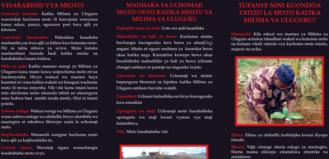 MSITU WA HIFADHI MISITU YA RONDO WATEKETEZWA KIKATILI KWA MOTO LINDI ...