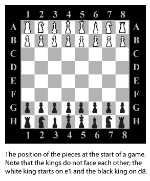 Basic chess for beginners