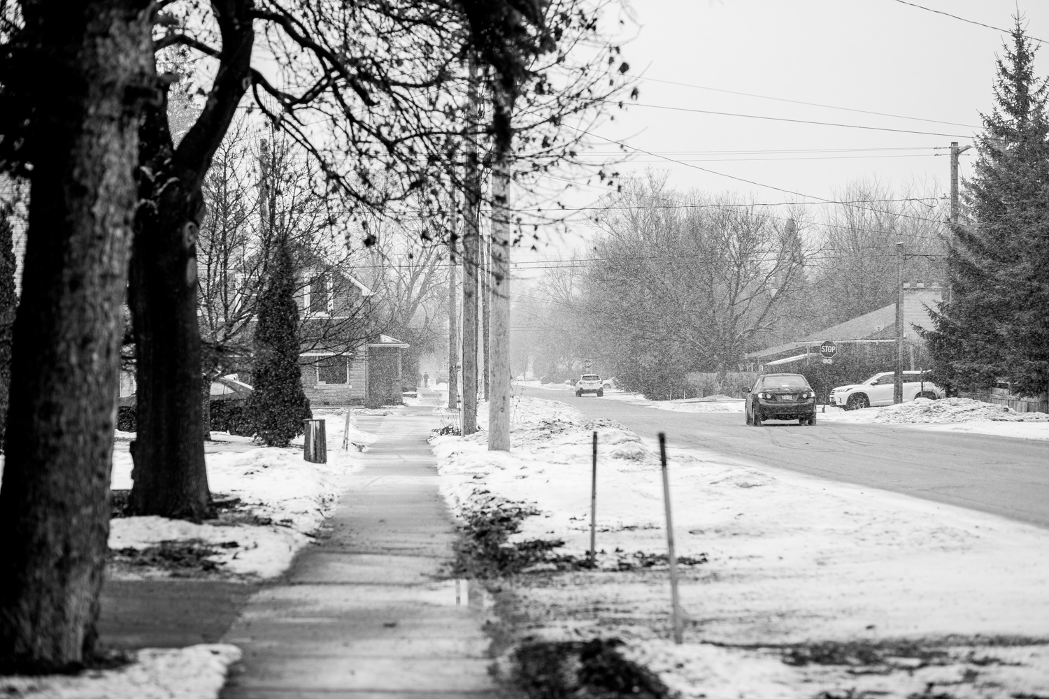Downtown Collingwood Snowfall