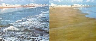 Enroque de ciencia: Mareas. Saber académico: Terminología (2)