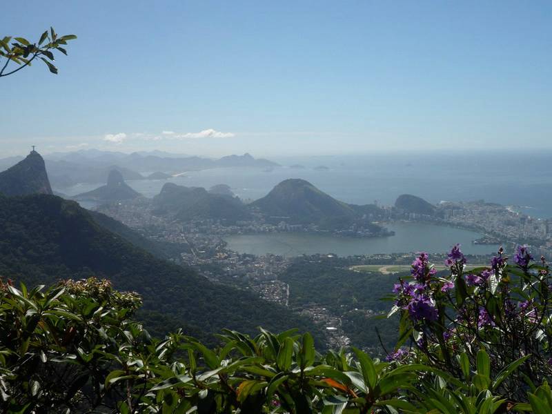 Tijuca Forest National Park, Brazil (with Map & Photos)