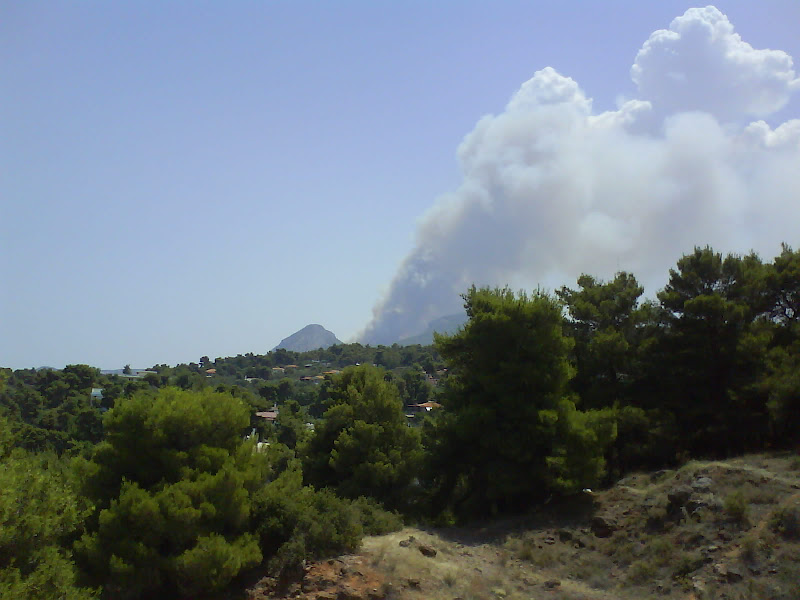 Η ΙΣΤΟΣΕΛΙΔΑ ΤΩΝ ΑΓΙΩΝ ΑΠΟΣΤΟΛΩΝ: MΕΓΑΛΗ ΦΩΤΙΑ ΣΤΟΝ ΚΑΛΑΜΟ ΚΟΝΤΑ ΣΤΗΝ ...