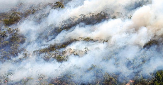 Apa yang Disebut Kabut, dan Bagaimana Proses Terbentuknya? | Belajar ...