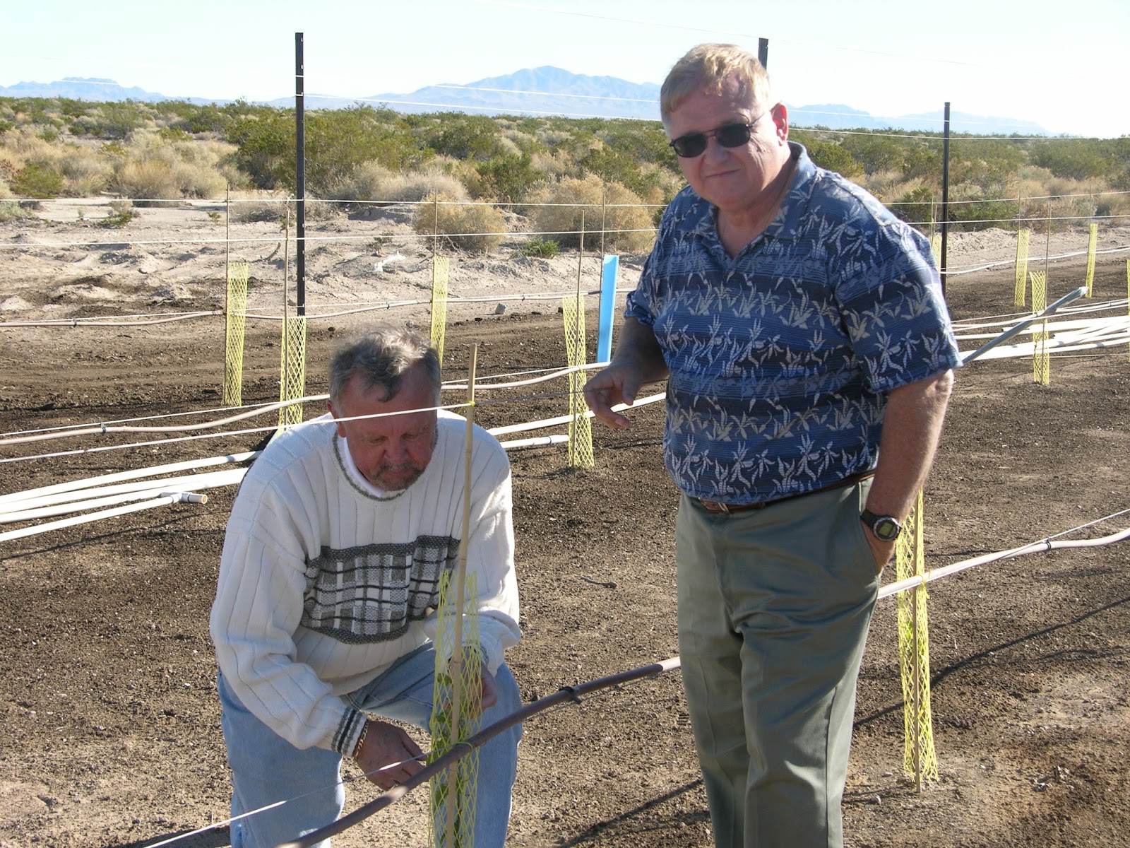 Xtremehorticulture of the Desert: 01 January 2017