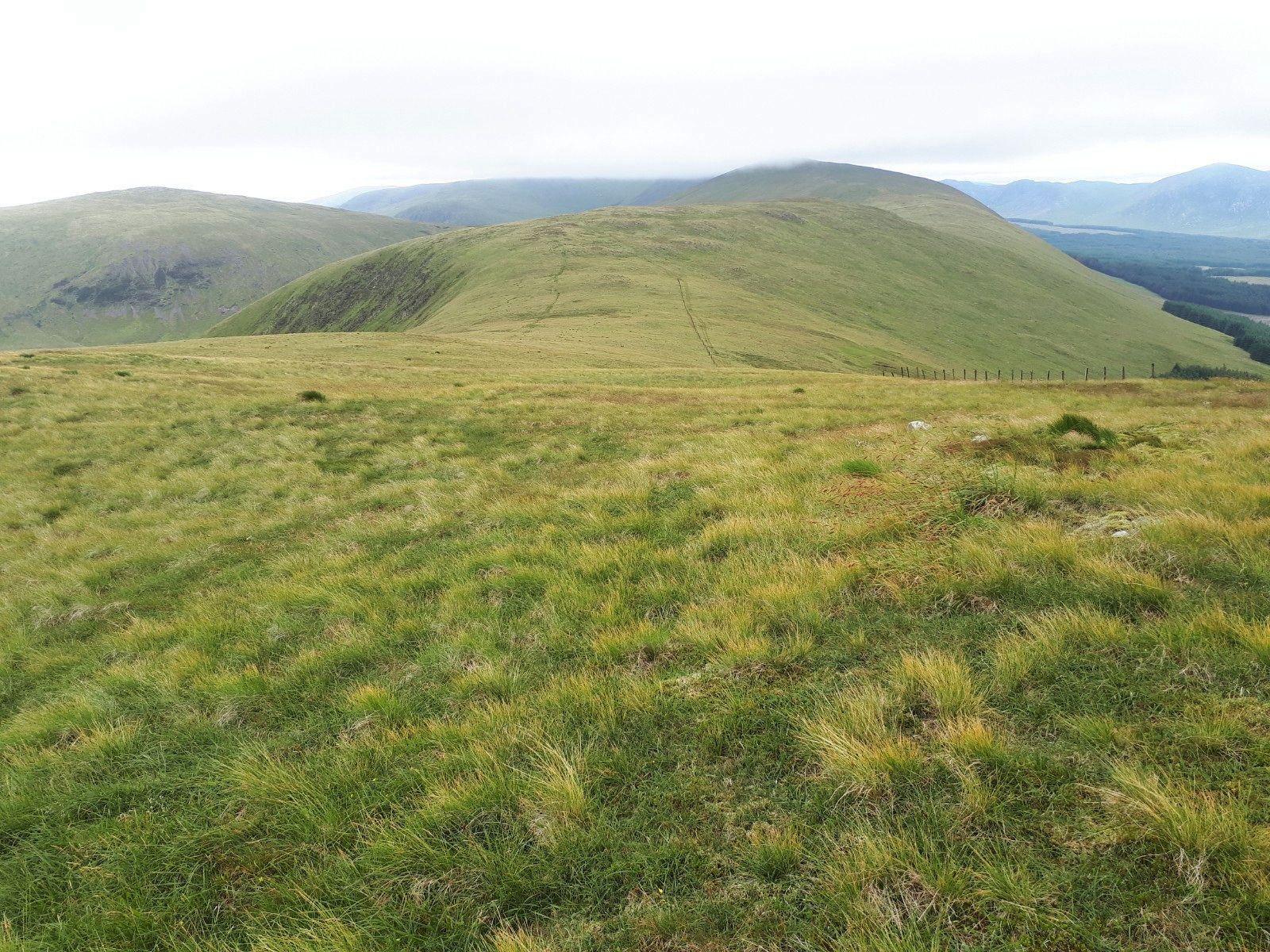 Desmondo's Ramblings: The AOIR are back in action.....Meaul