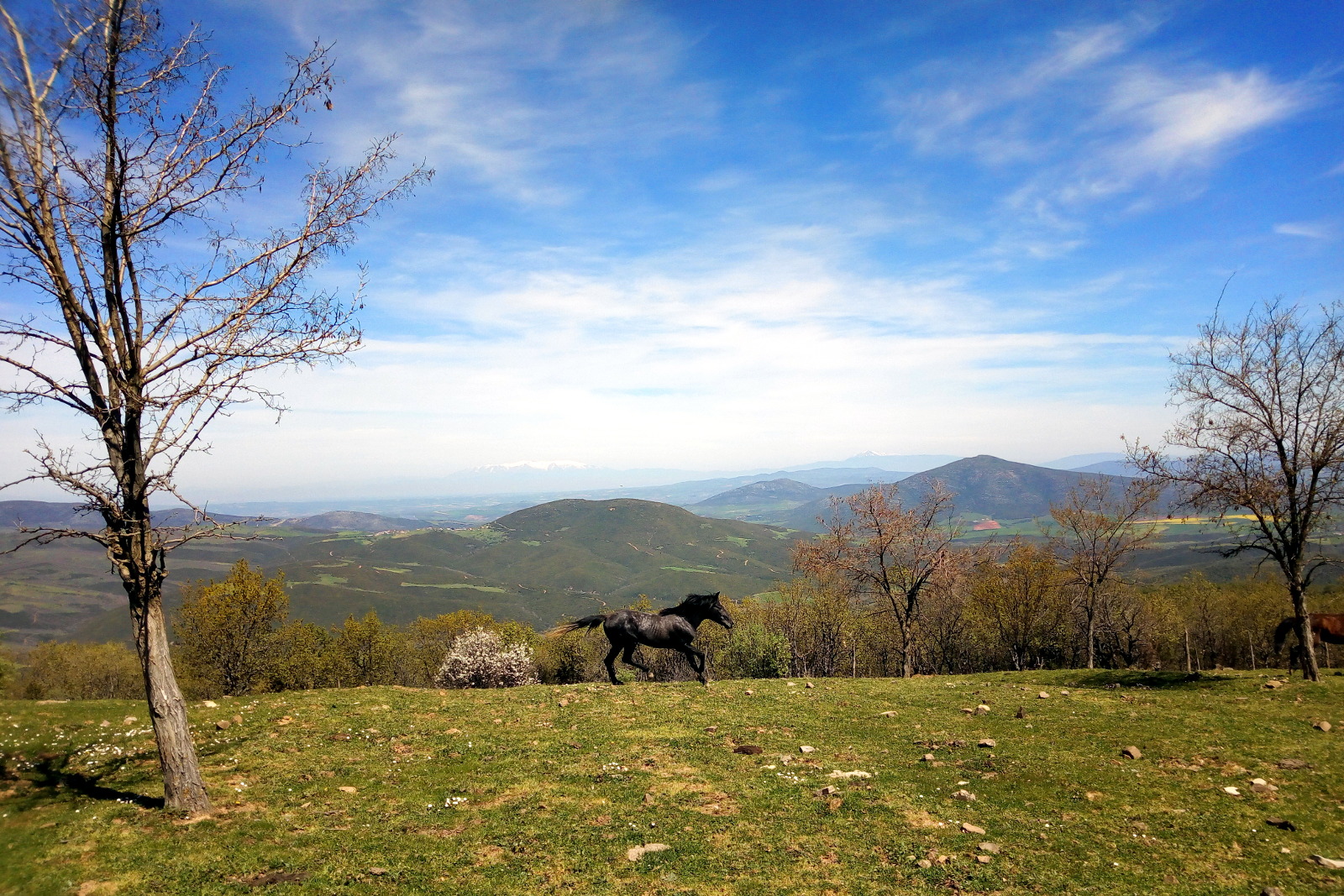 Η Άλλη Ελλάδα: 23/04/20