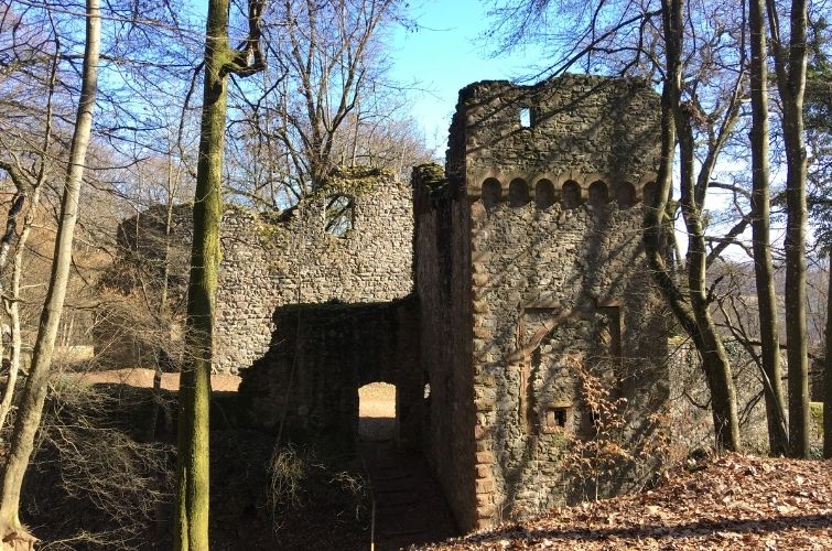 Gartendeko-Blog: Lockdown-Freizeit in der Umgebung