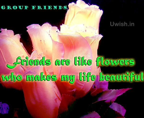 Beautiful Roses With Friendship Quotes