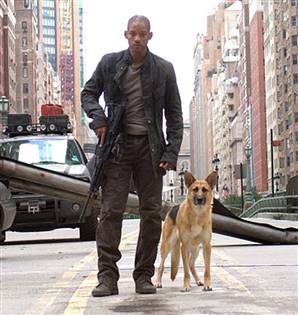 Hot Wallpaper: Will Smith i am legend.
