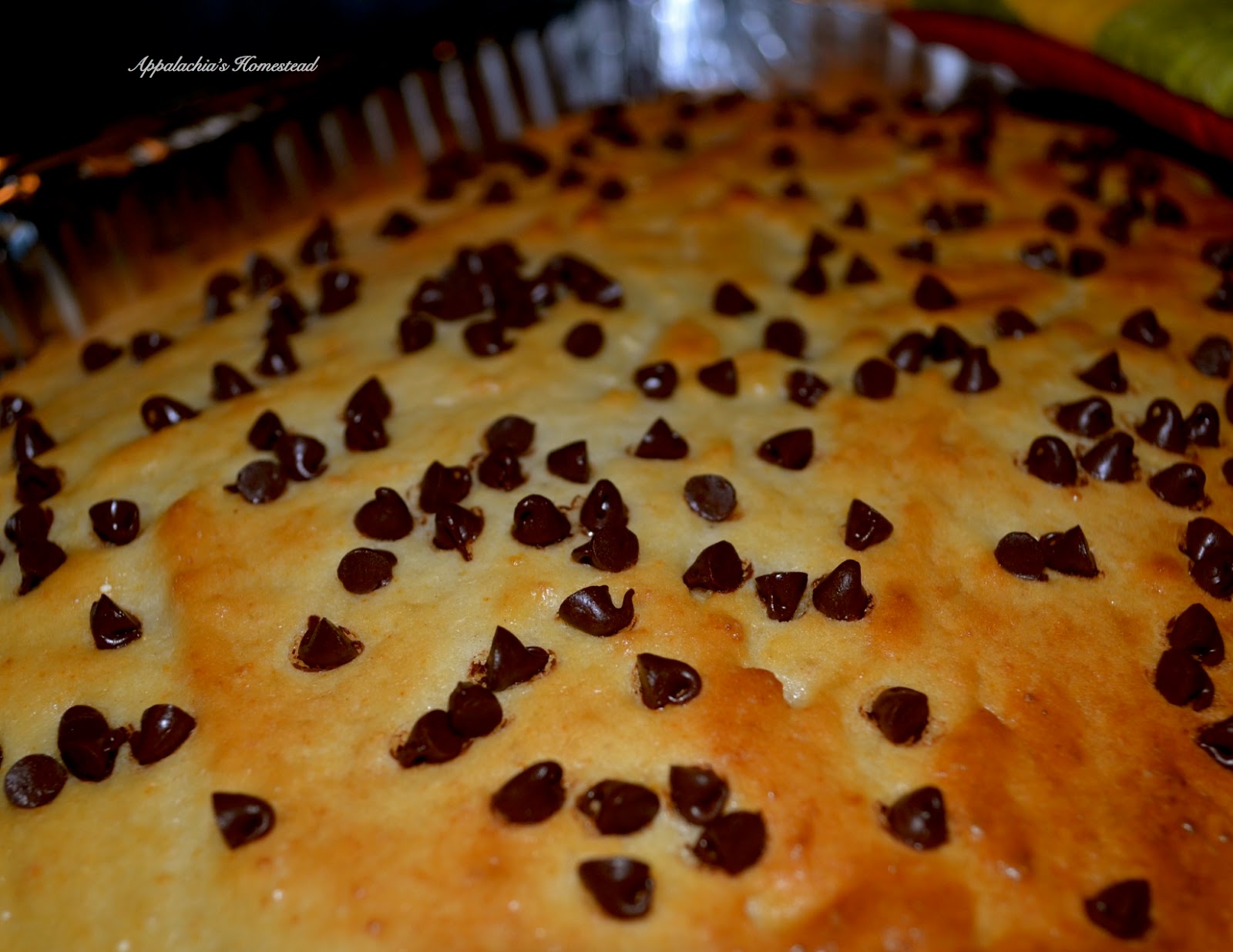 Appalachia's Homestead: Wasp Cake From Scratch