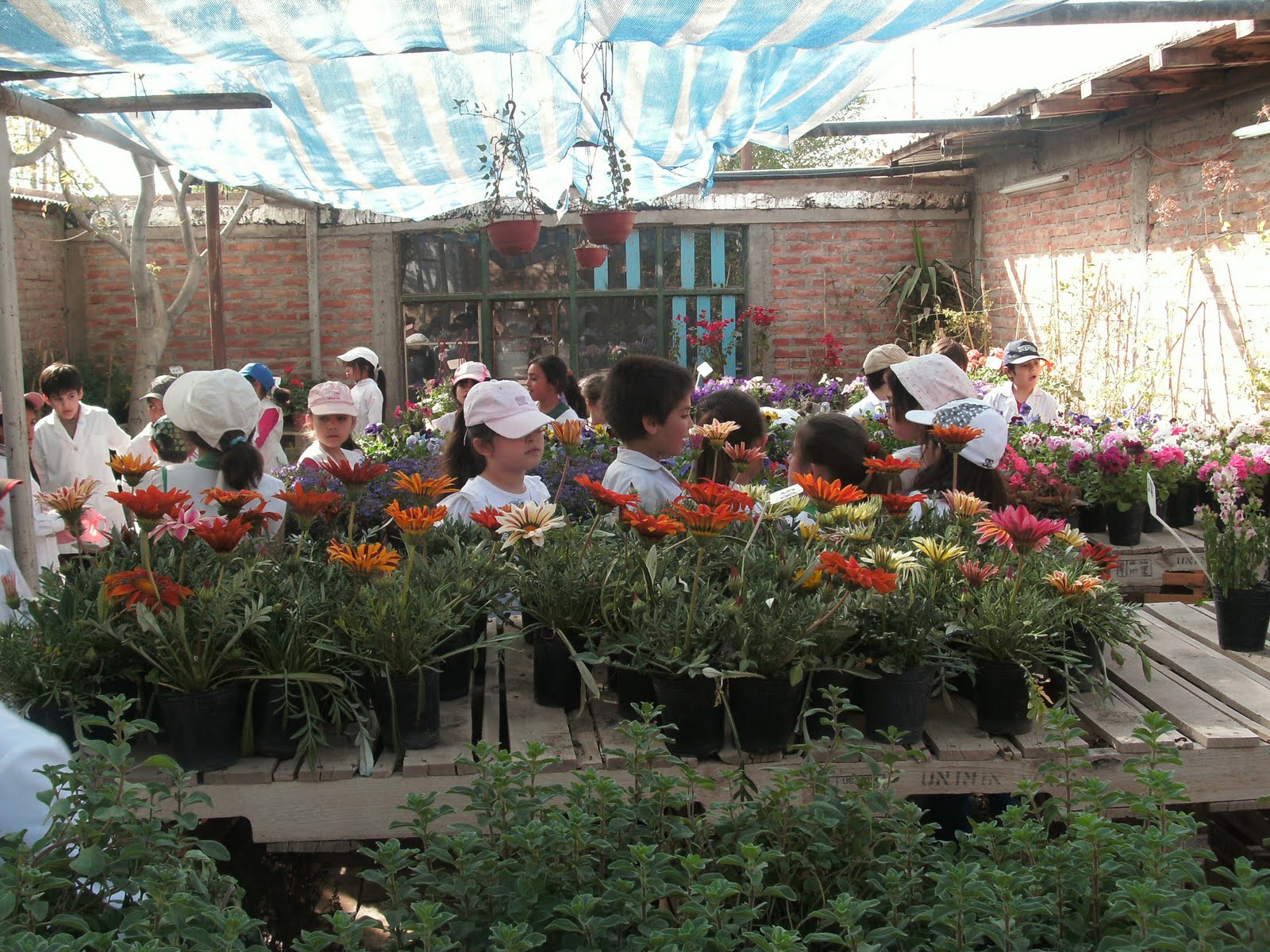 EDUCACIÓN PARA TERCER GRADO: VISITA AL VIVERO