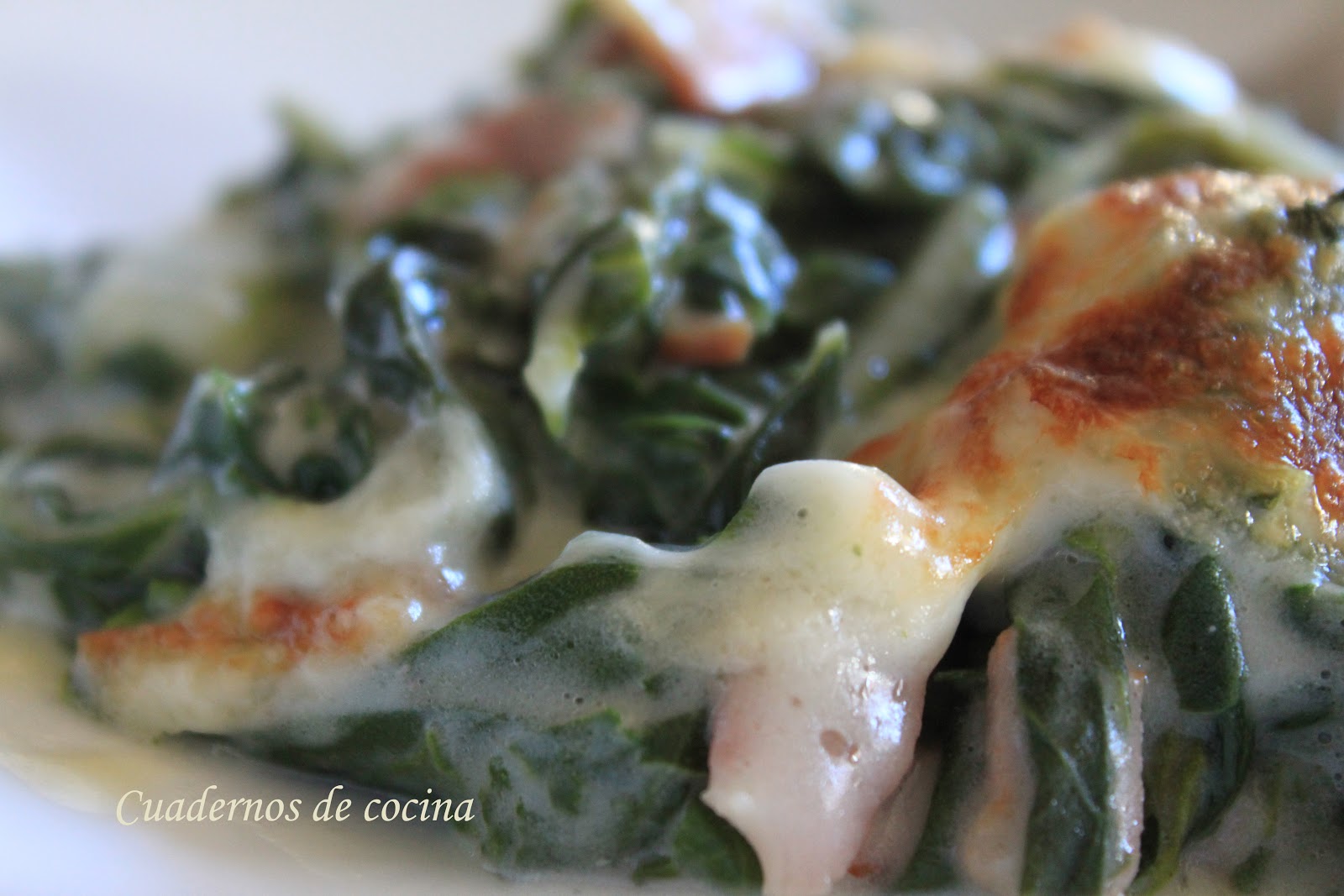 Cuadernos de cocina: Acelgas gratinadas