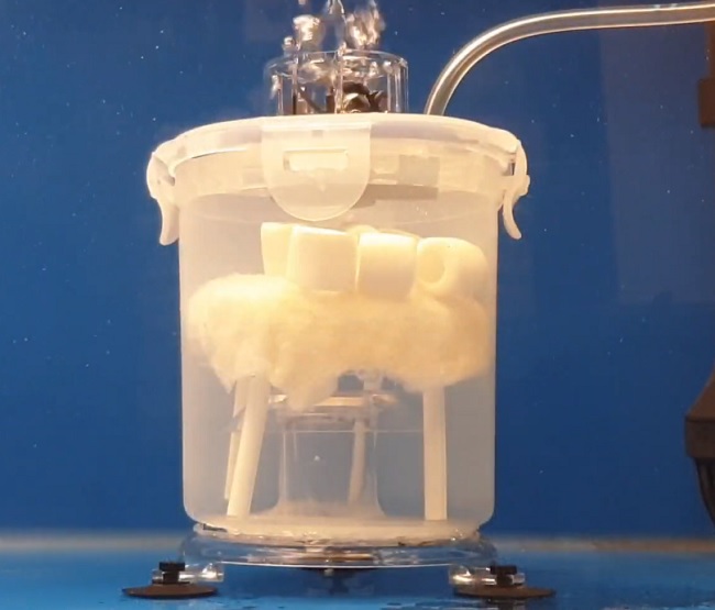 DIY Aquarium Filter To Clean Fish Poop