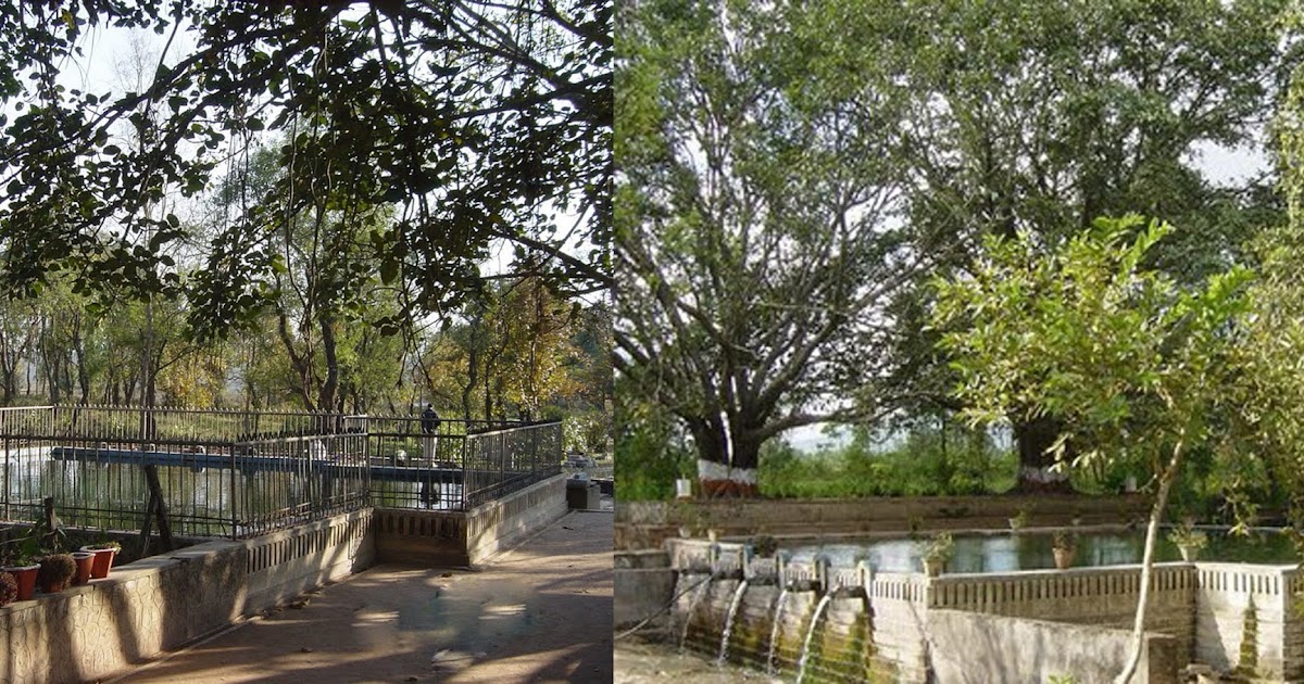 Surkhet Bulbule Tal, Surkhet, Nepal - Nature View