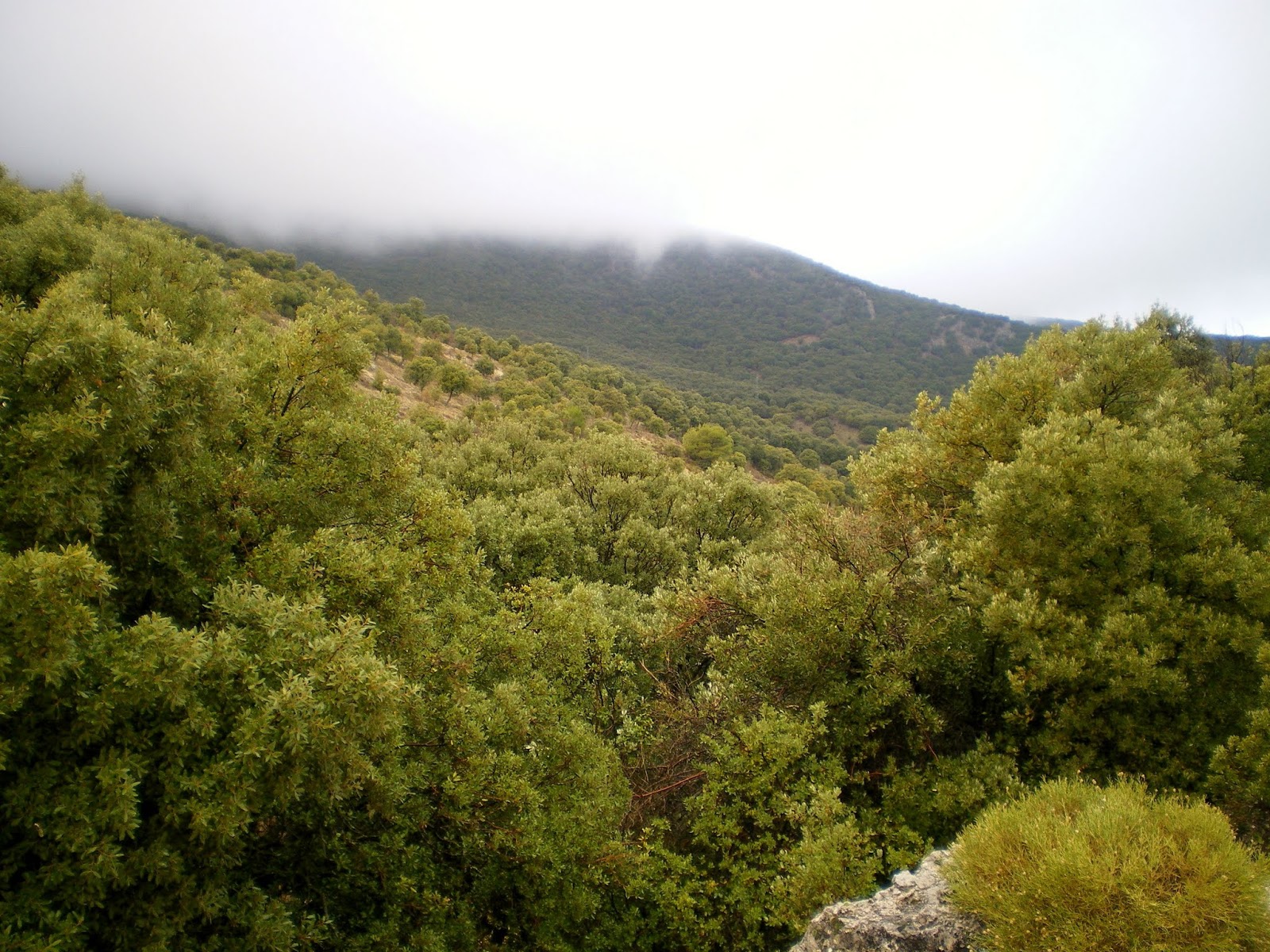 Club de Senderismo Los Escuderos de Rus (Jaen): PIEDRA JAÉN POR CARA SUR