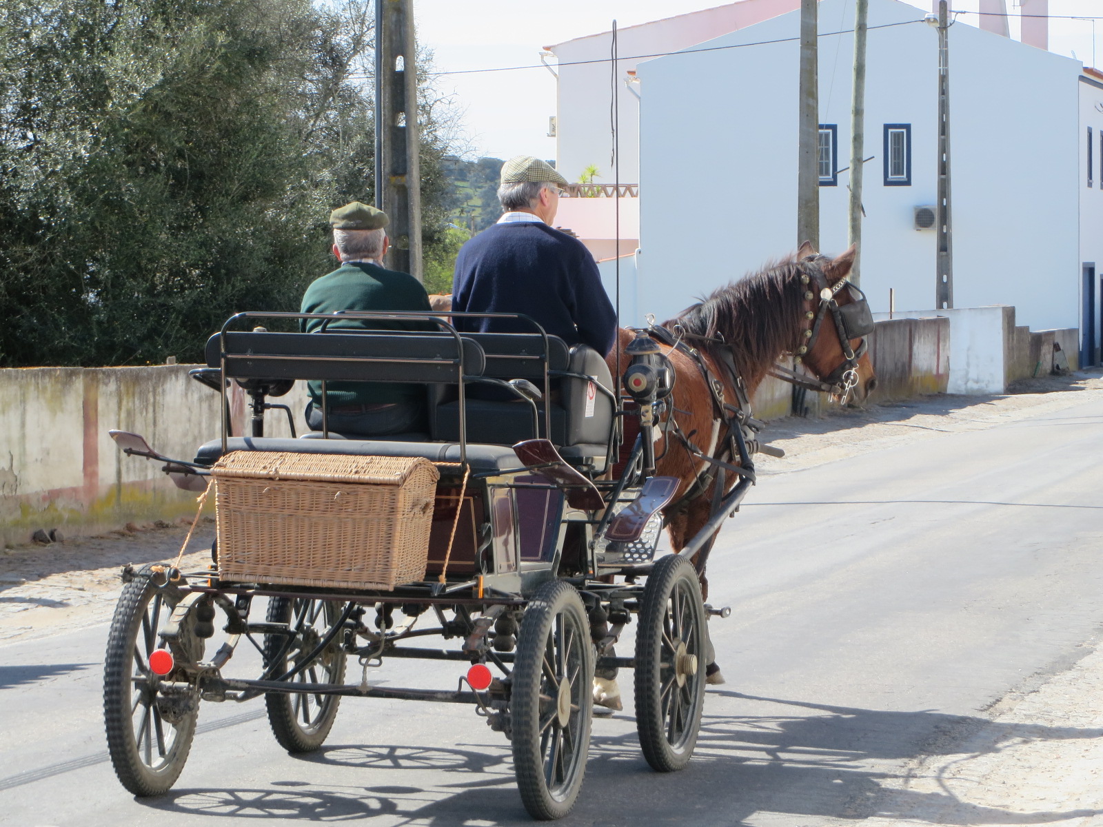 O melhor Alentejo do Mundo: Carroças e Charretes