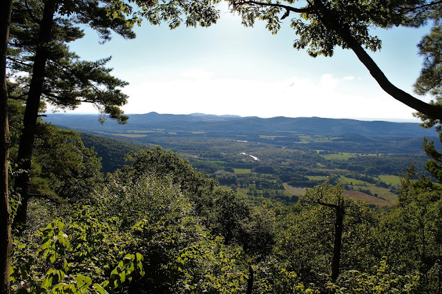 Walking Man 24 7: Folded Rock(Battenkill State Forest)