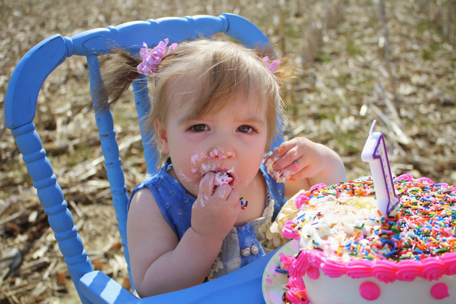 Making Mama's Kitchen: Emma's Cake Smash Photos