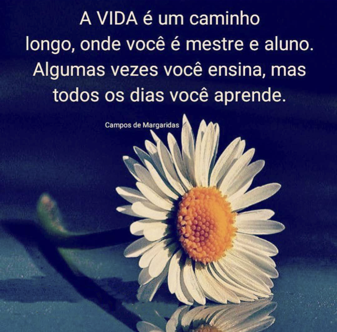 FRATERLUZ: Ensinar e Aprender