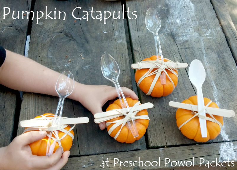 Pumpkin Catapults ~ Science Experiment & STEM Exploration Fun ...
