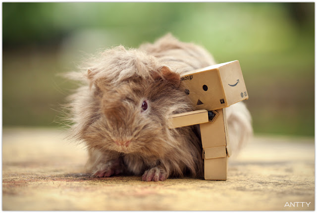 Miniature Cardboard People