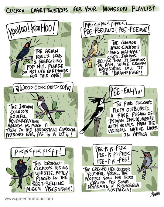 Green Humour: Cuckoo Chartbusters for your Monsoon Playlist