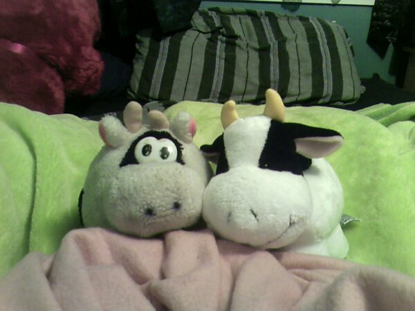 Professional Beggar Running a War on Death. Enemy of Death.: MrCow