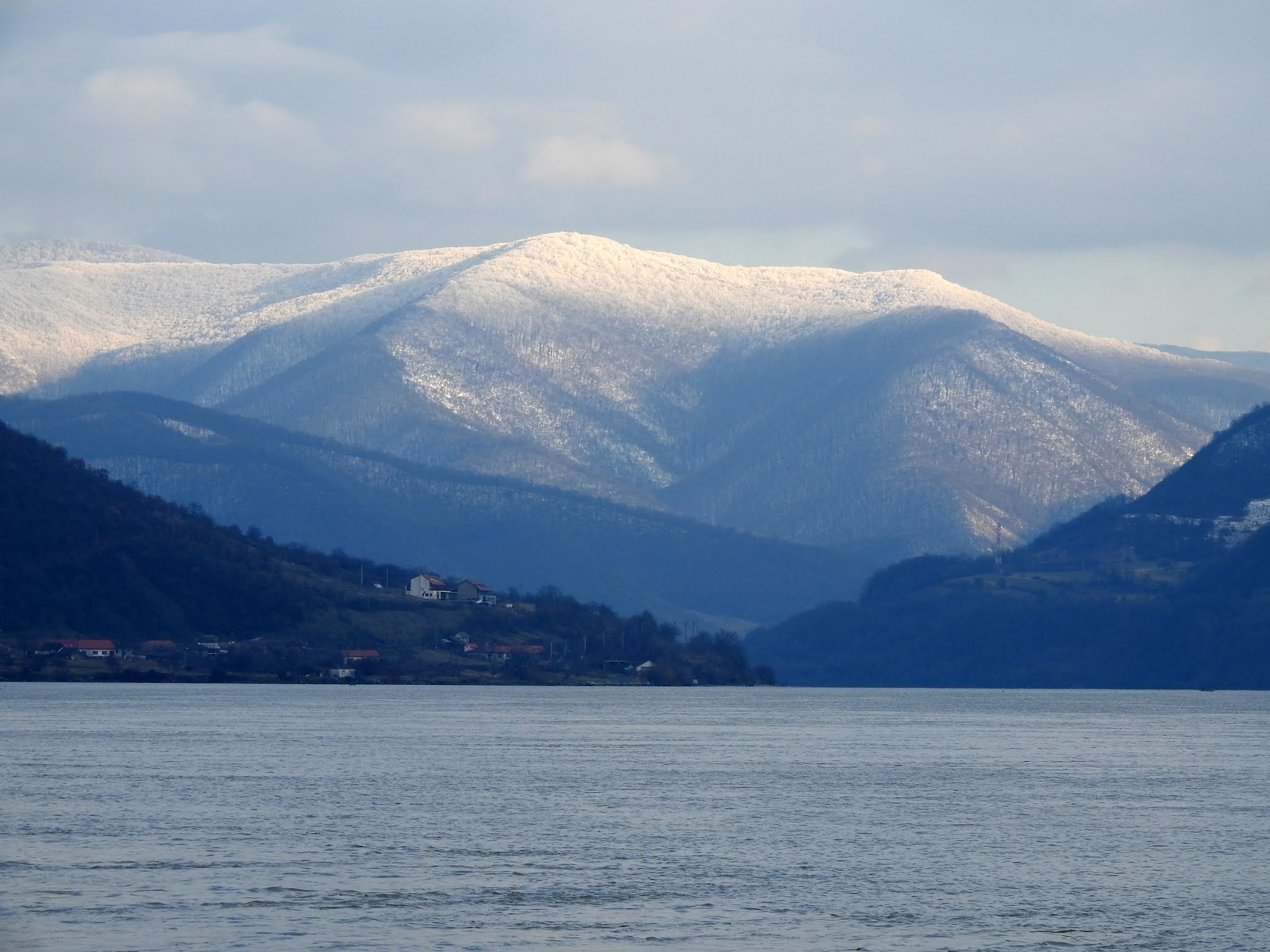 PASARI DIN ROMANIA: ACVILA DE MUNTE, Aquila chrysaetos