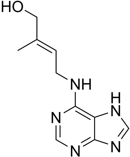 Sitokinin Hormon Pengatur Tumbuh Pada Tumbuhan - BELAJAR KIMIA
