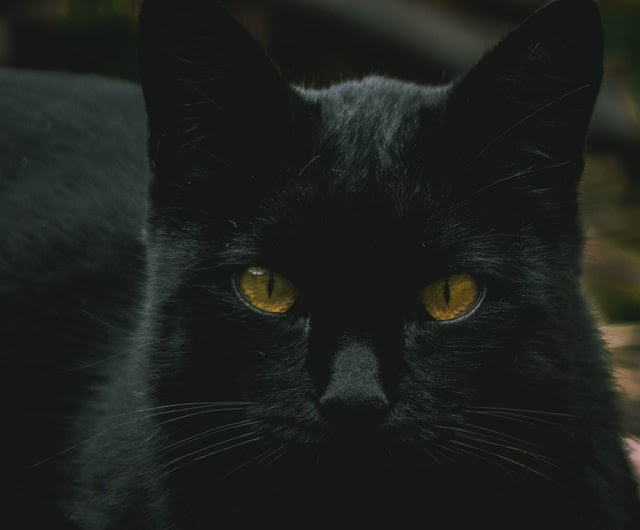 Dark mode for Next.js statically-generated apps using styled-components ...