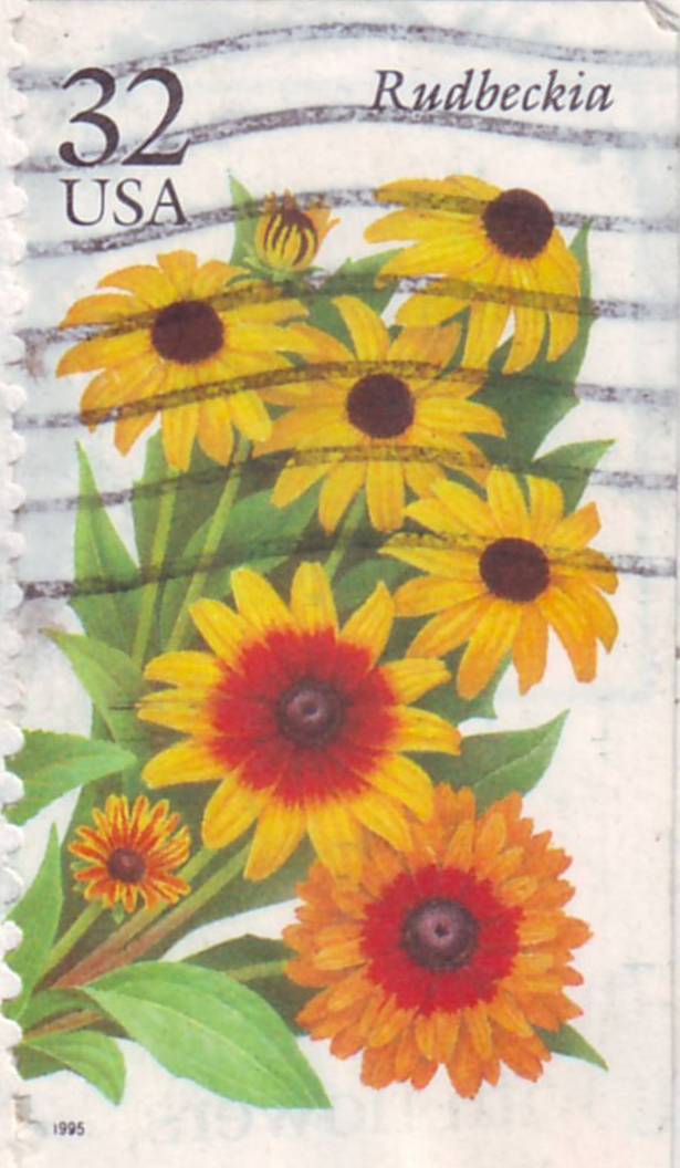 Selling antiques used and historic: Usa stamp 32 Rudbeckia