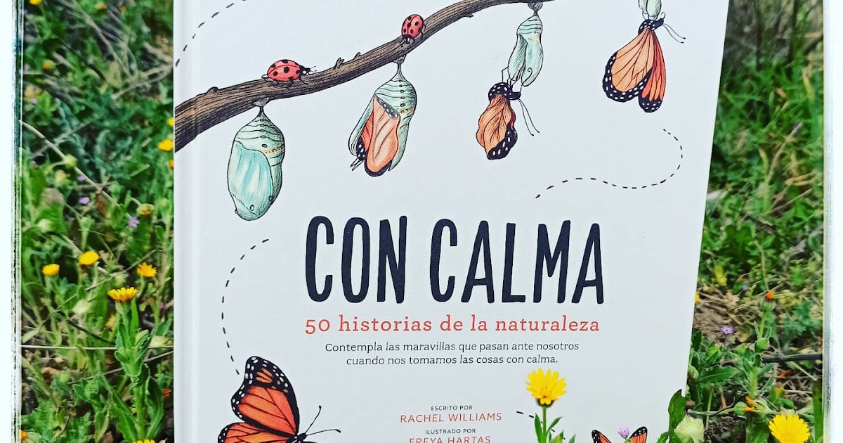 la clase de la profe Patty: Cuento Con calma