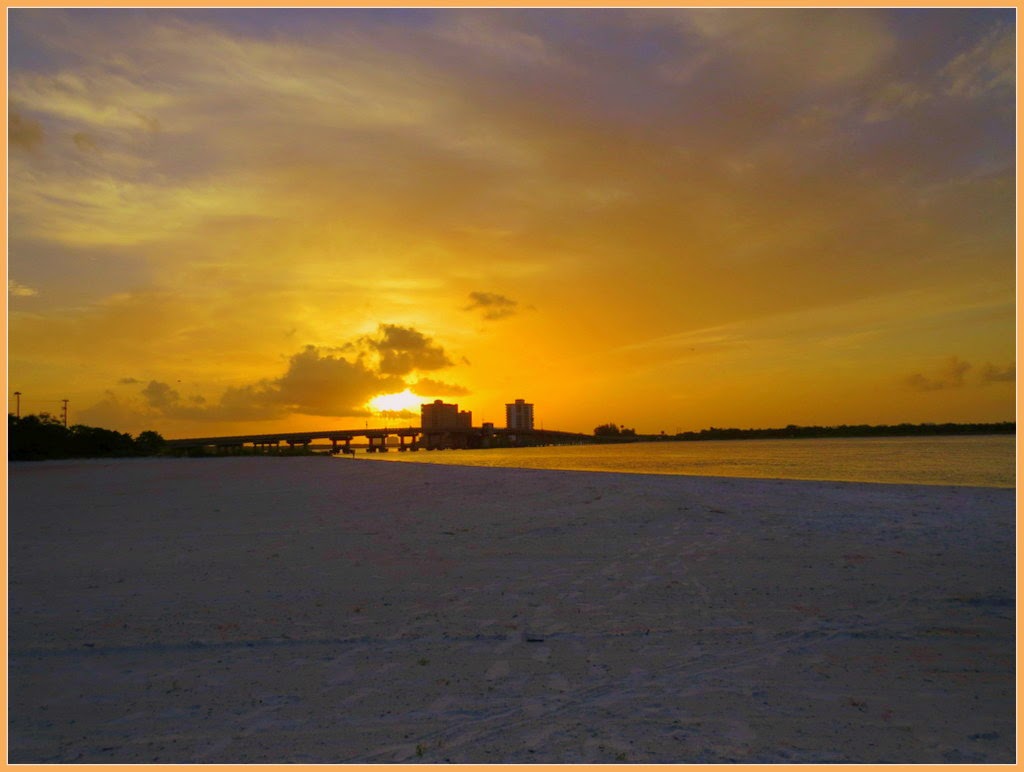 Bird Tweets: Little Estero Island - Critical Wildlife Area Bird Tweets: Little Estero Island - Critical Wildlife Area