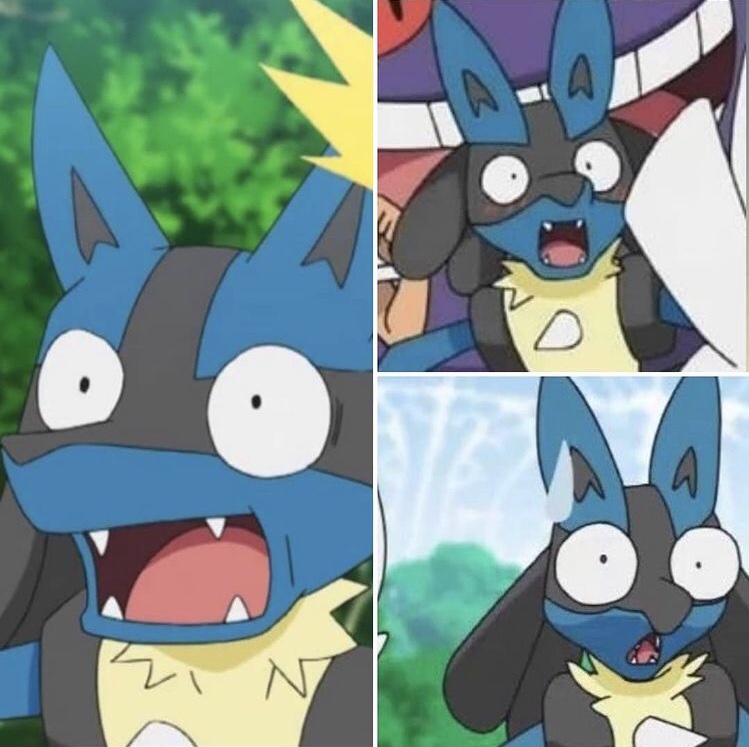 Where Pokemon Meets Anime: Top 15 Smartest Pokémon From All Regions Ranked