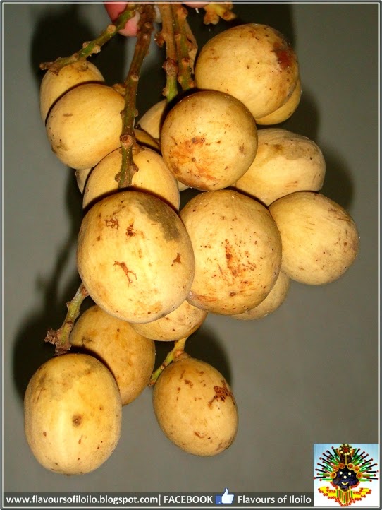 Fruit of the Day: Lansones