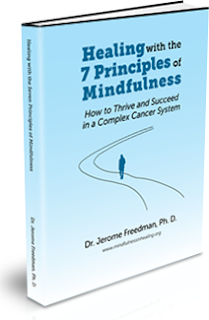 you reed book: Healing with 7 Principles of Mindfulness