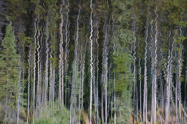 Suzanne Mathia Photography