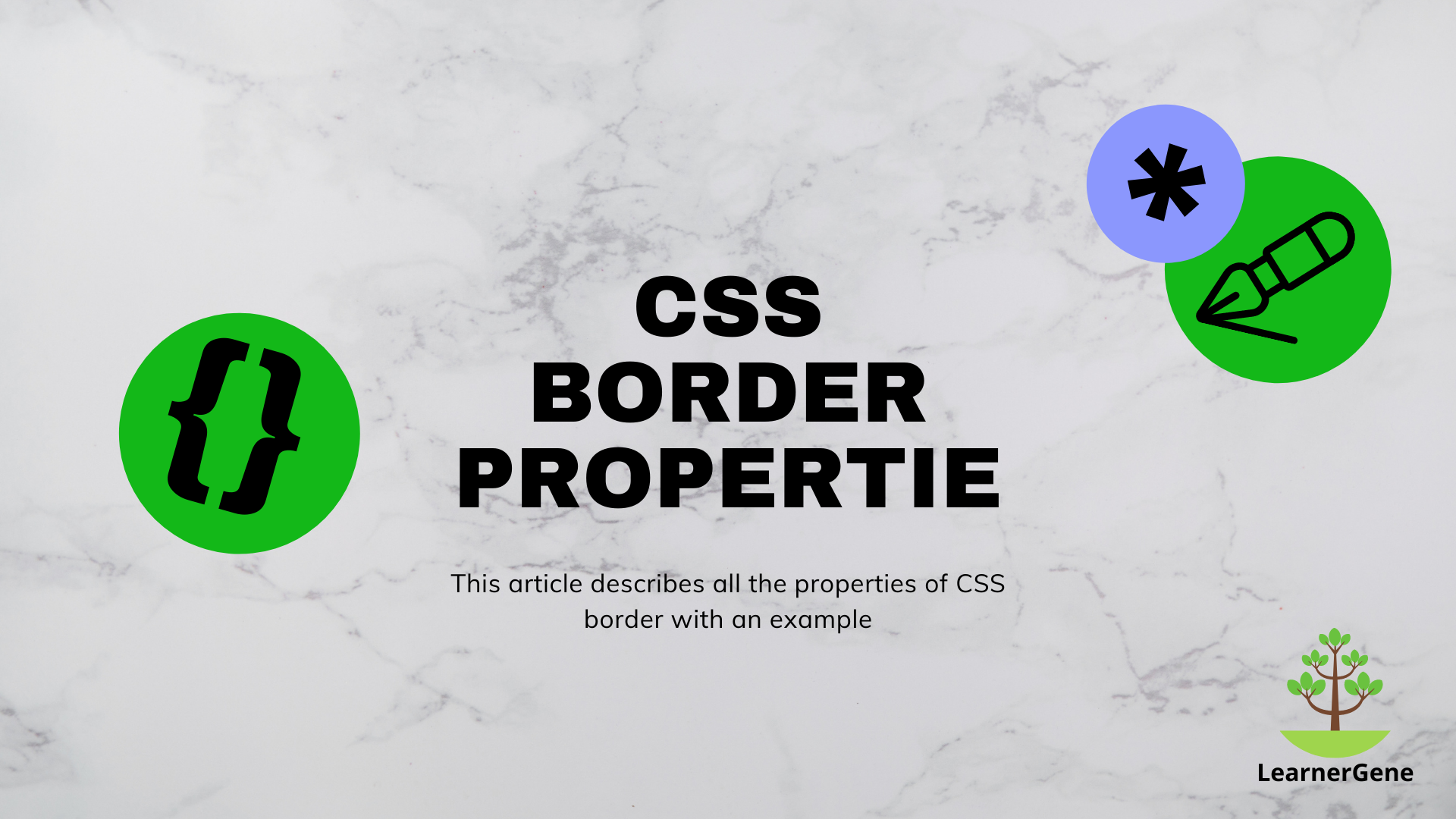 Css Border Properties Binary Cipher