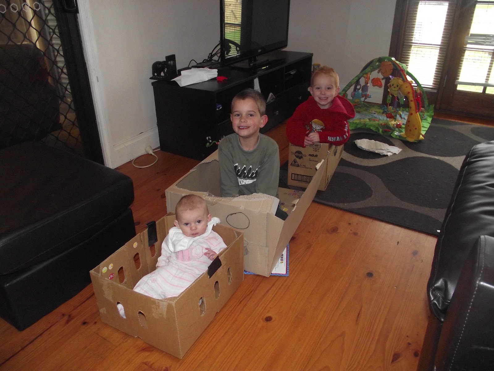 Fun With Boxes On A Rainy Day