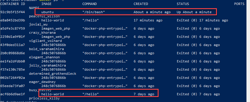 Naldo stuff: Docker en Windows parte 3: comandos básicos y bajando ...