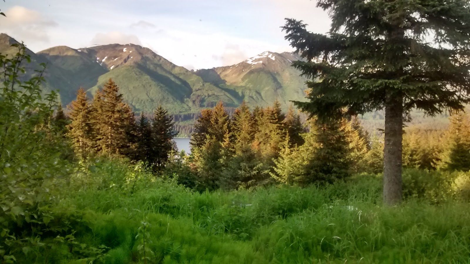 Ristow Family Adventures: Update From Port Graham