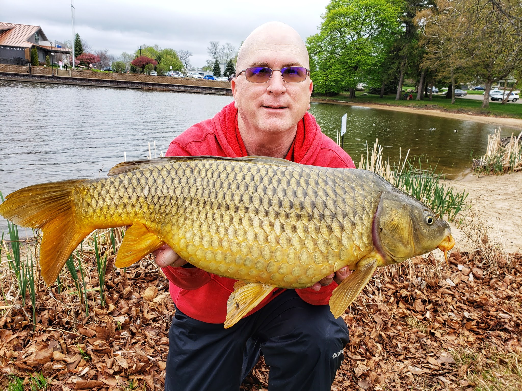 Michigan Carp Fishing Blog: Michigan Carp Fishing in May
