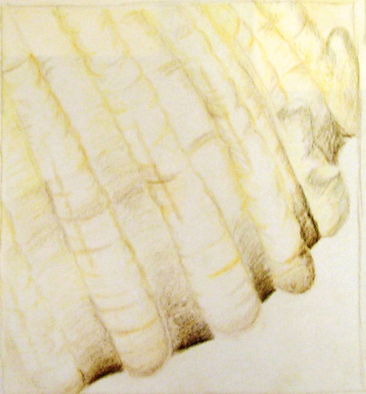 Crafts from a Ravenclaw: Shells....